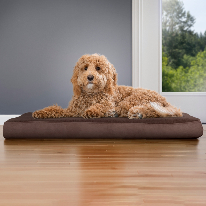 Snuggle Orthopedic Polyester Pet Bed | Foter