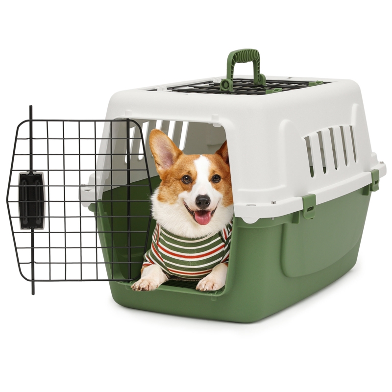Portable Cat Dog Travel Carrier Cage Hard-Sided Pet Kennel | Foter