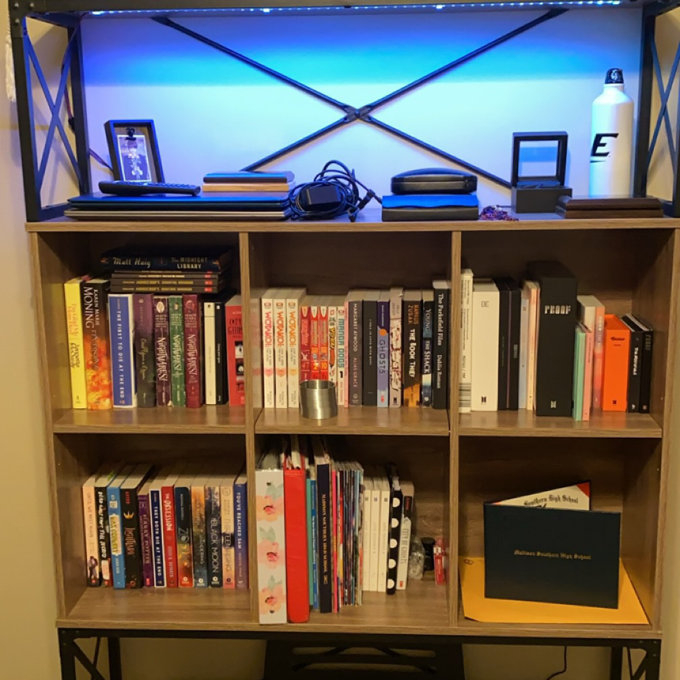 Fortney 43" W Bookshelf with LED Light, Industrial Bookcase with Open ...