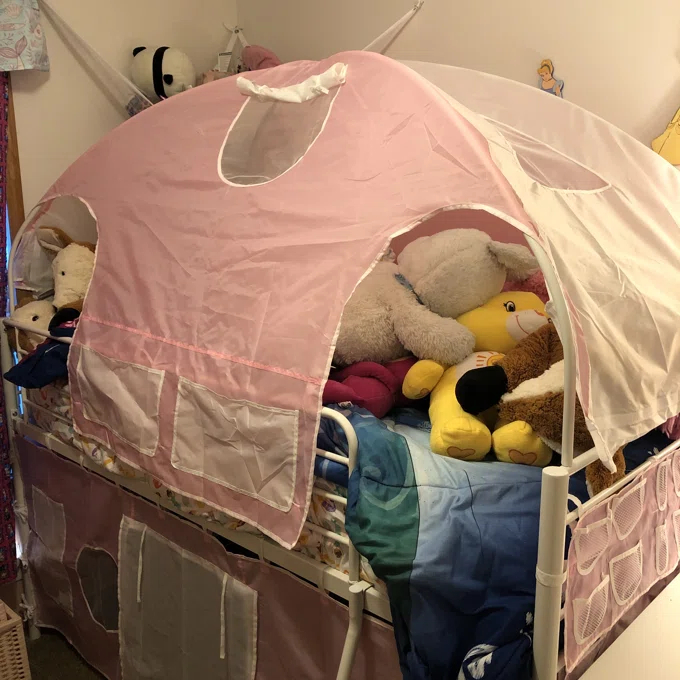 Princess Loft Bed With Tent | Foter