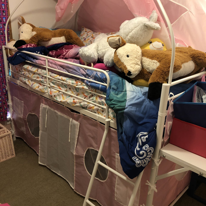 Princess Loft Bed With Tent | Foter