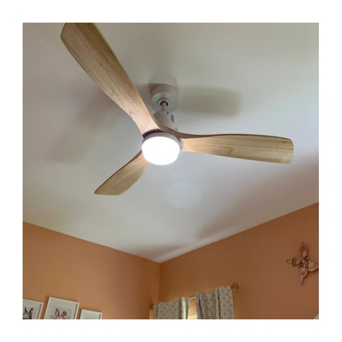 Nicola 52'' Ceiling Fan with LED Lights | Foter
