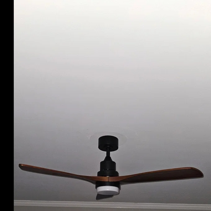 Nicola 52'' Ceiling Fan with LED Lights | Foter